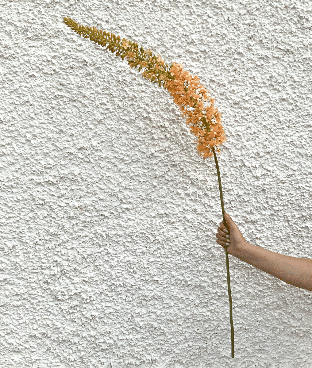 Eremurus Artificial – Decoco Flower Shop
